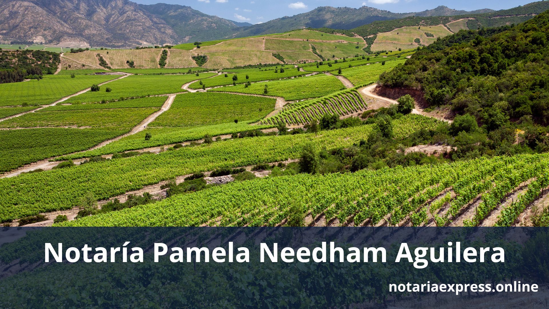 Notaría Pamela Needham Aguilera | Notaría express